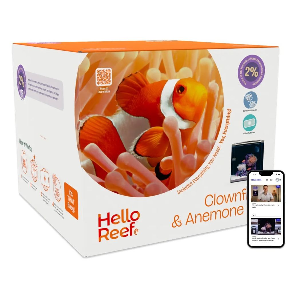 Hello Reef All In One Clownfish & Anemone Aquarium Kit — Finest Aquatics