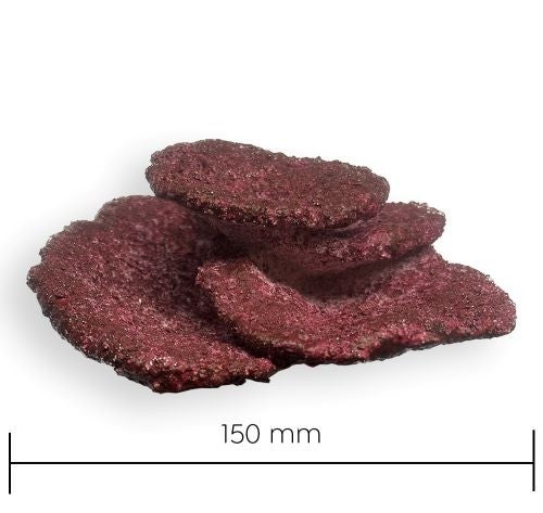 Real Reef Rock - Nano Plate Coral (Per Piece) — Finest Aquatics