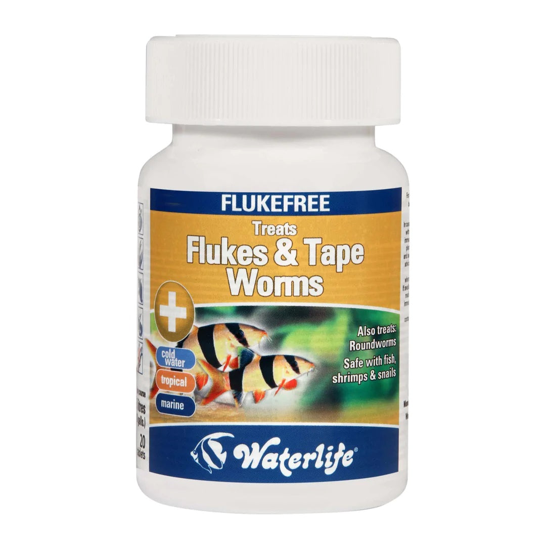 Waterlife FlukeFree 200 Tabs — Finest Aquatics